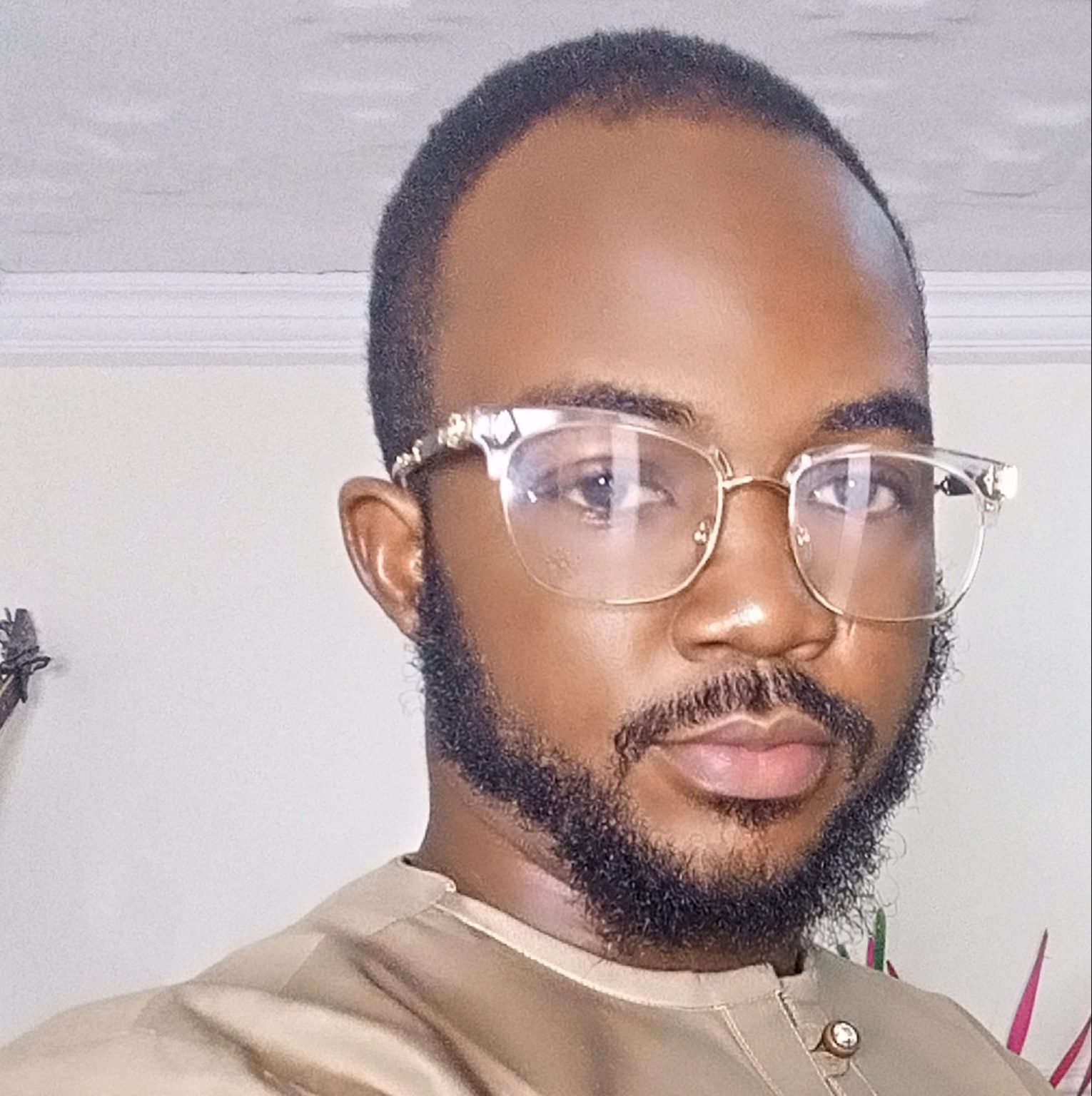 Segun Johnson - Felicia's Promise